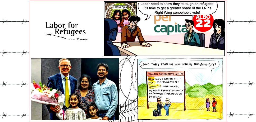 Labor Supporters Defend Labor PM “Albo’s” Predatory Capitalism | Dingo News