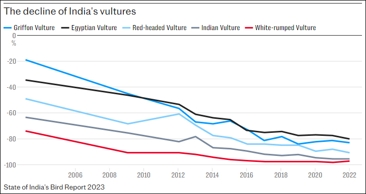 How India’s vulture apocalypse led to the deaths of half a million ...